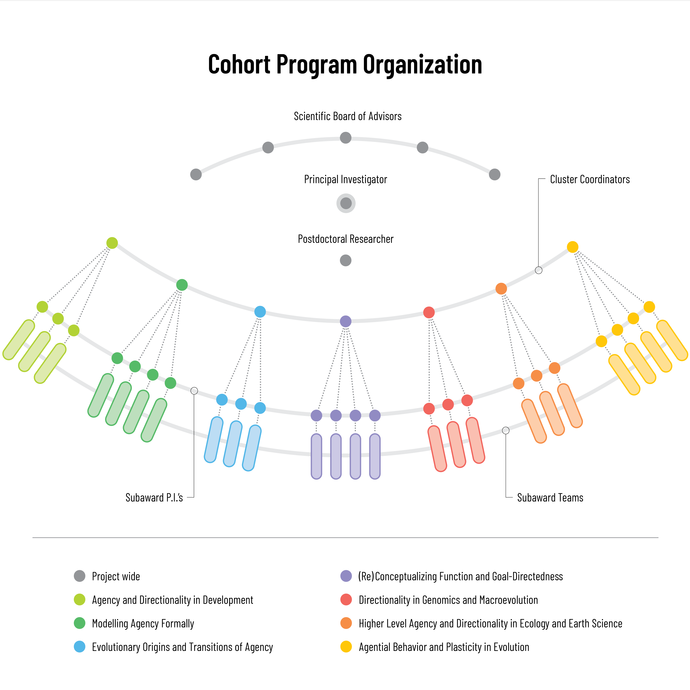 Cohort Program Organization | CASP